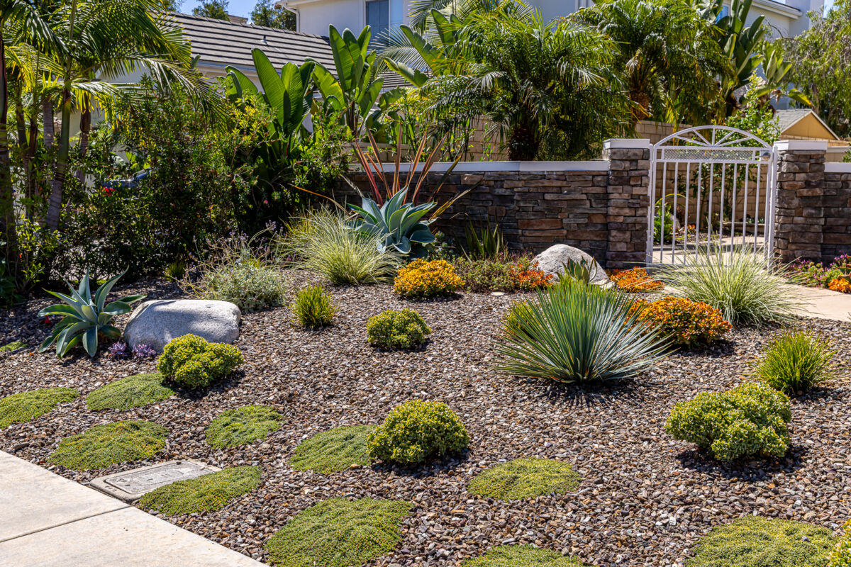 Sunrise Boulders, Vibrant Succulents and Perennials - Garden Rhythms